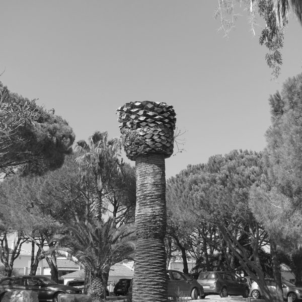 blackandwhiteandcolours – I take pictures – I read books – Daily photos ...